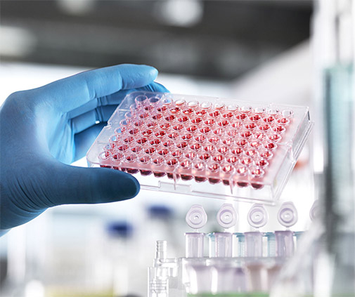 Agon Diagnostic Systems and Consultancy Inc.